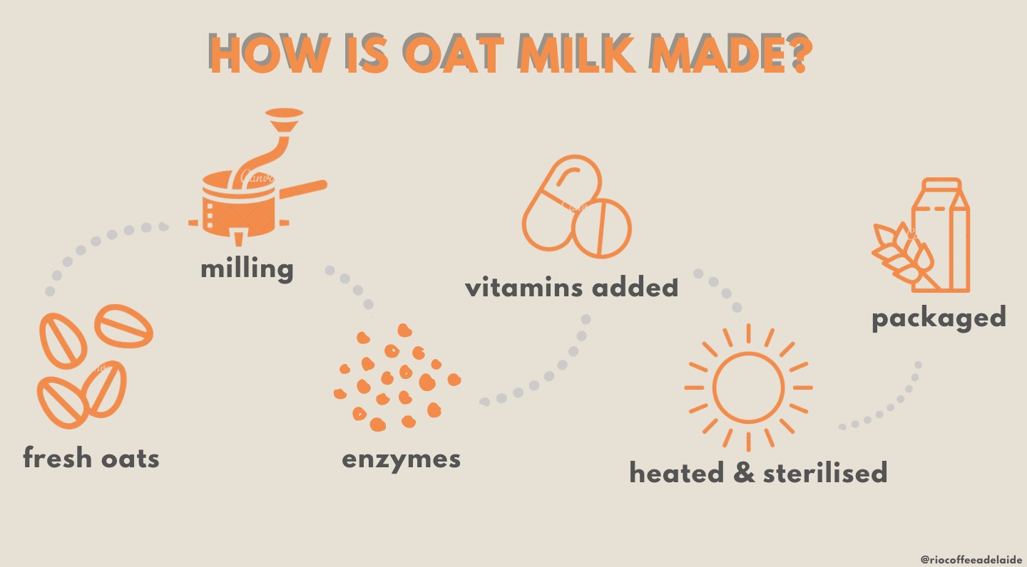Oat Milk: the alternative milk all coffee lovers need to try - Rio Coffee